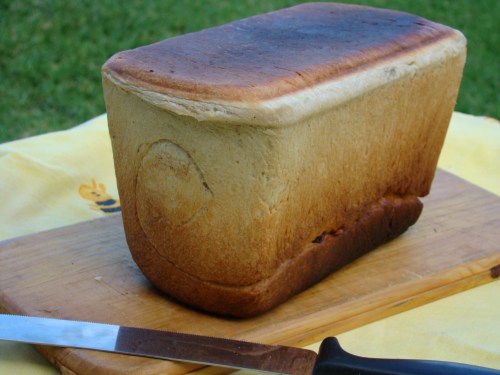 How to Bake Bread on a Fire | Fired Up Cooking SA